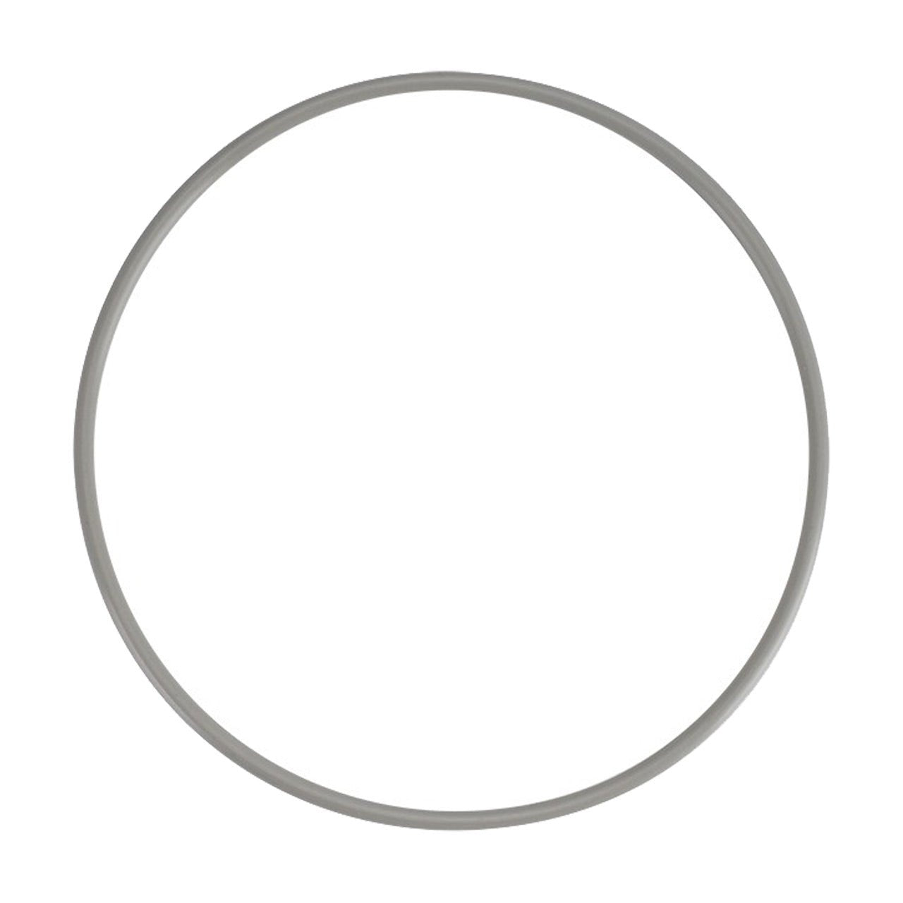 AOI Q1 Strobe O-Ring – Digital Diver